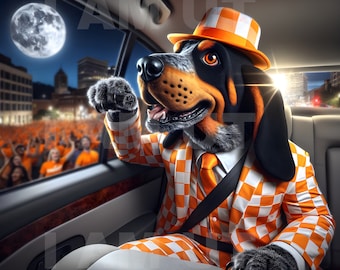 University of Tennessee, Smoky the Dog, UT, Orange and White ...