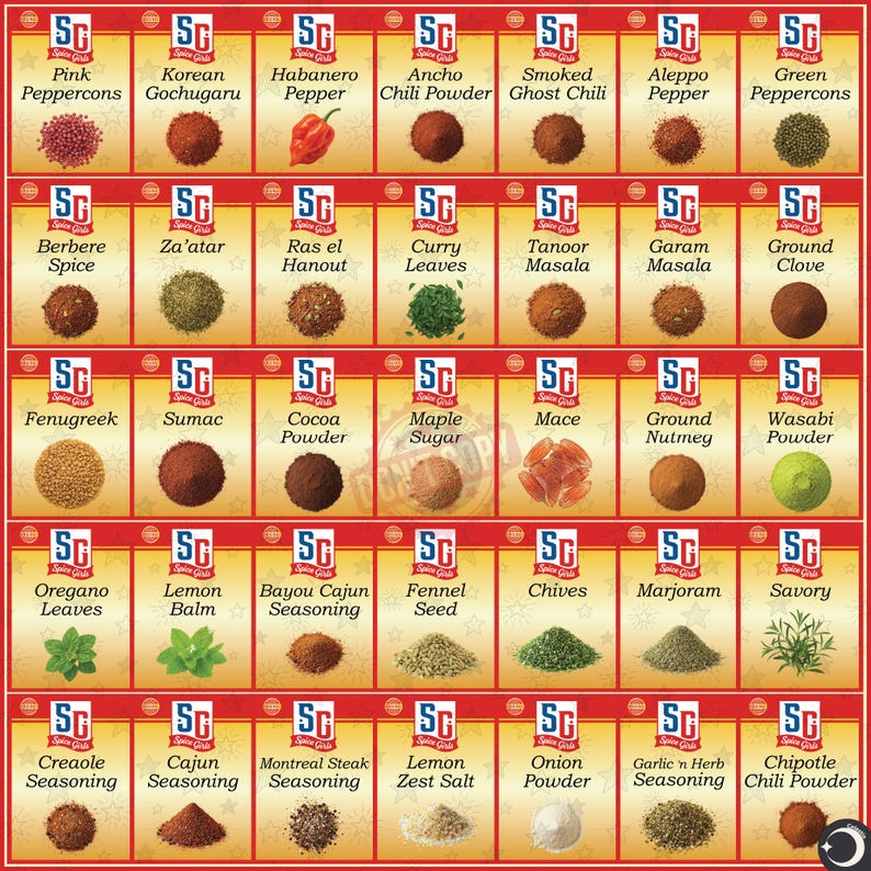 105+ Spice Girls Halloween PNG Bundle Funny Girl Group Matching Costume ...