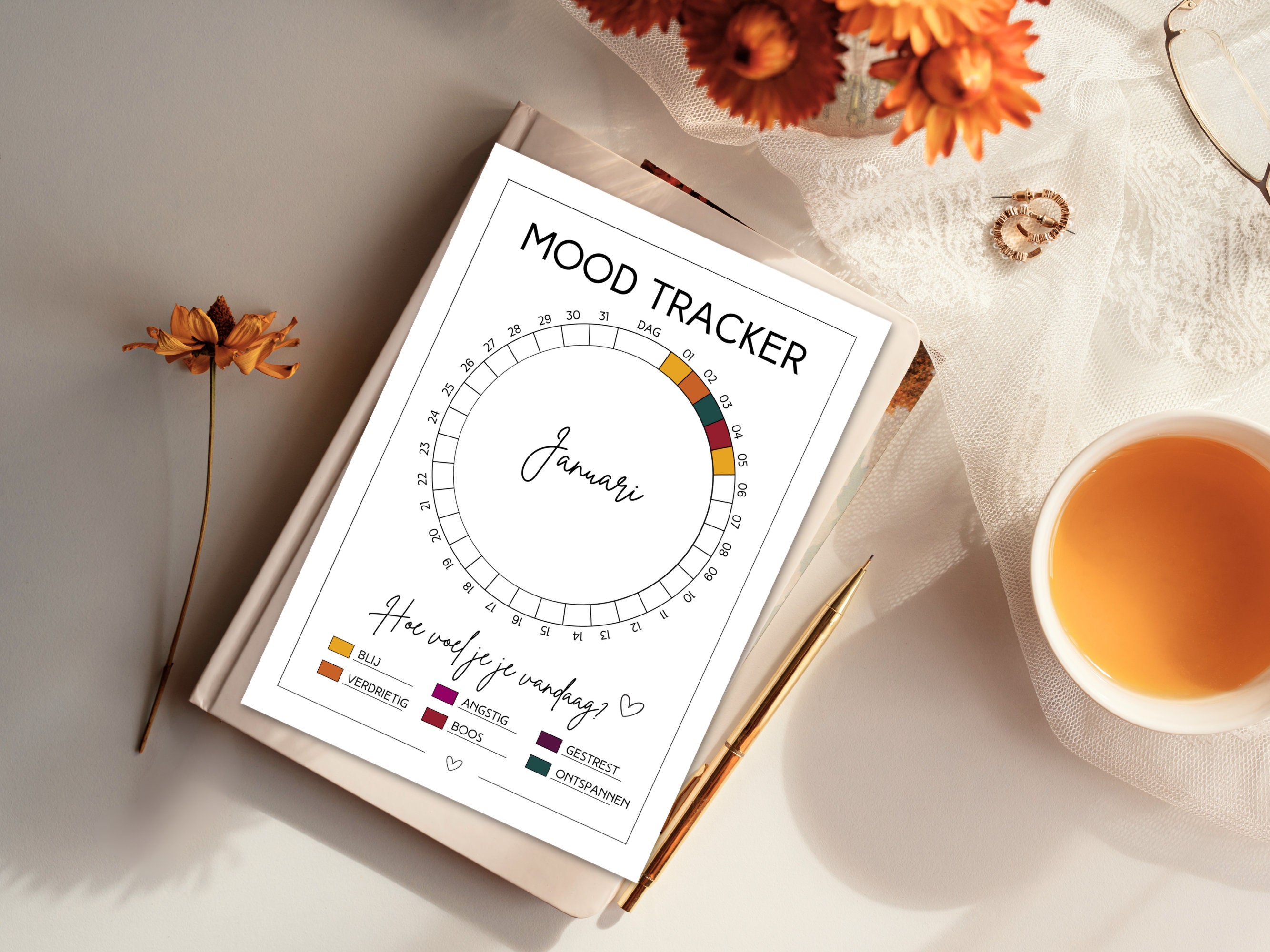 Monthly Mood Tracker Printable Circular Mood Chart Daily Mental Health ...