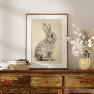 Vintage Bunny Drawing Print, Antique Rabbit Sketch Print, Country ...