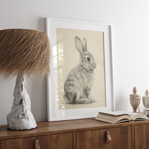 Vintage Bunny Drawing Print, Antique Rabbit Sketch Print, Country ...