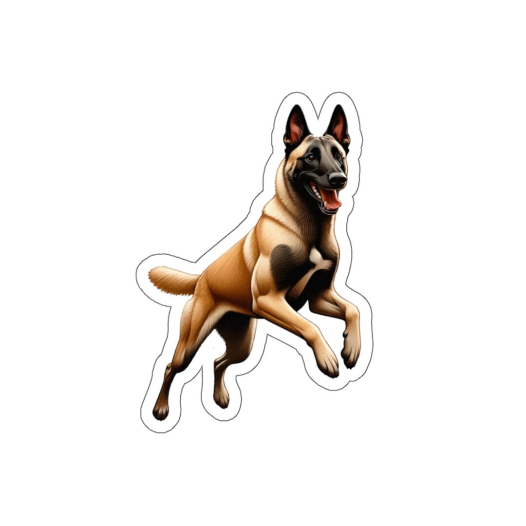 Belgian Malinois 3 (vinyl Sticker, Vinyl Decal, Laptop, Tumbler ...
