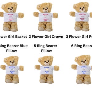 Personalized Proposal Teddy Bear: Ring Bearer/flower Girl Gift - Etsy