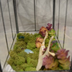 Deer’s Jaw Bone Terrarium - Etsy
