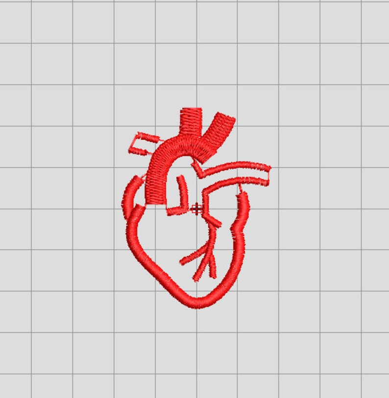 Human Anatomic HEART Embroidery Design, Pattern for Embroidery Machine ...