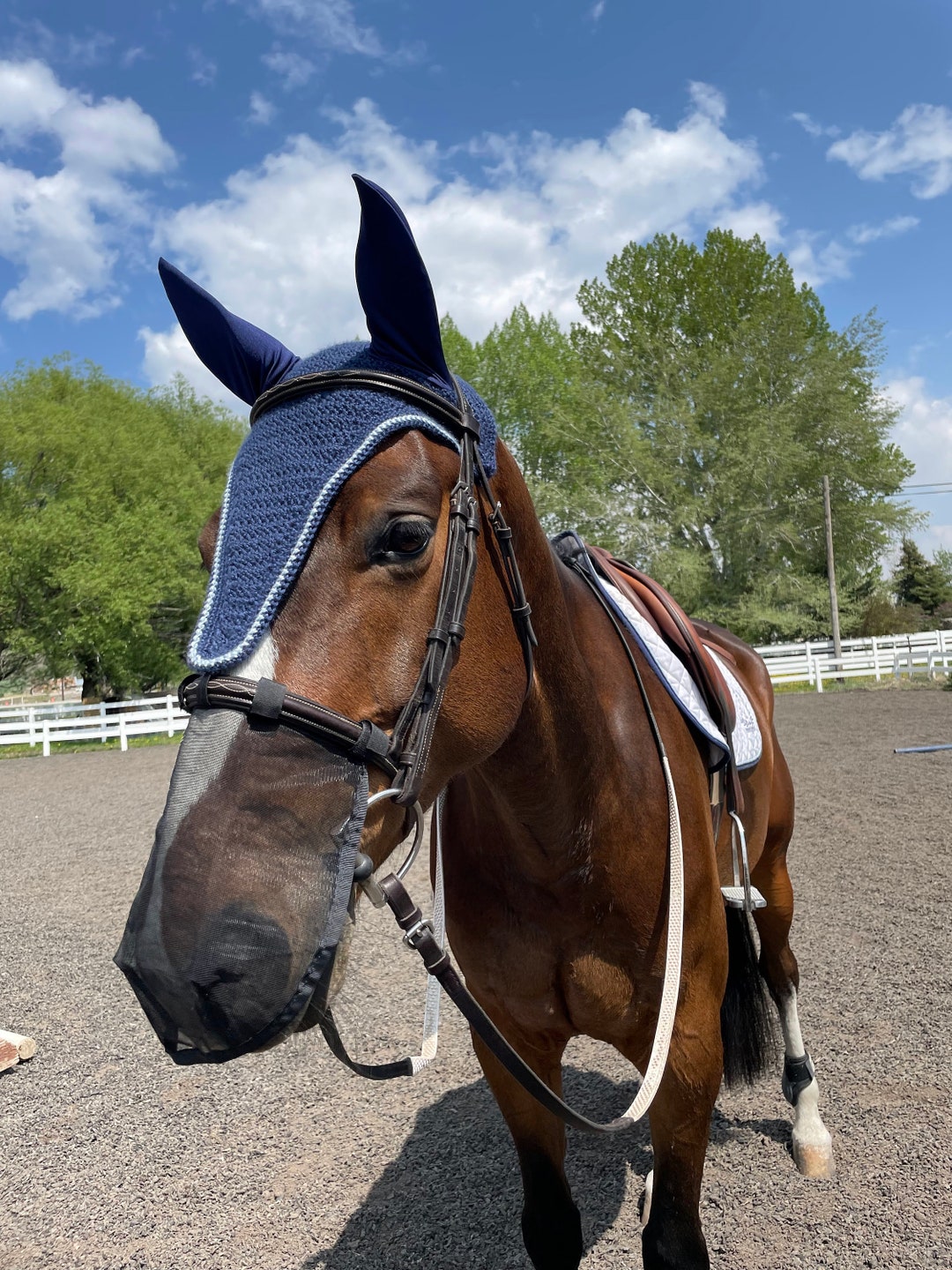 Custom Horse Ear Bonnet - Fly Bonnet, Fly Veil - Design Your Own - Etsy