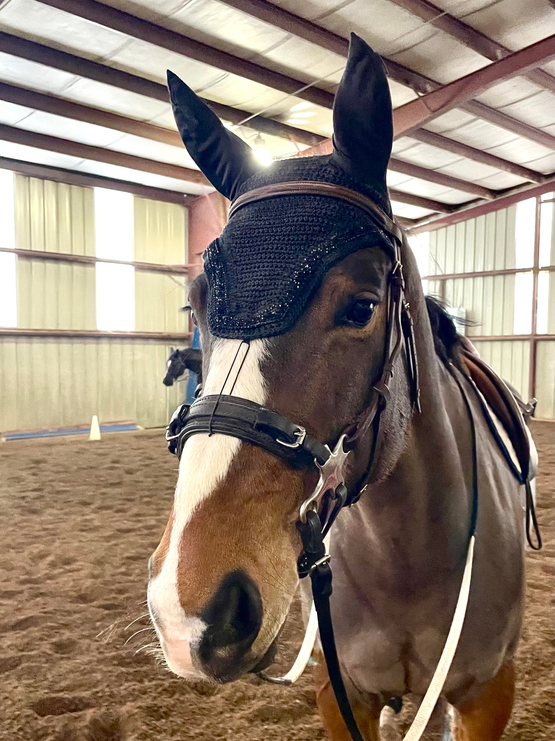 Custom Horse Ear Bonnet - Fly Bonnet, Fly Veil - Design Your Own - Etsy