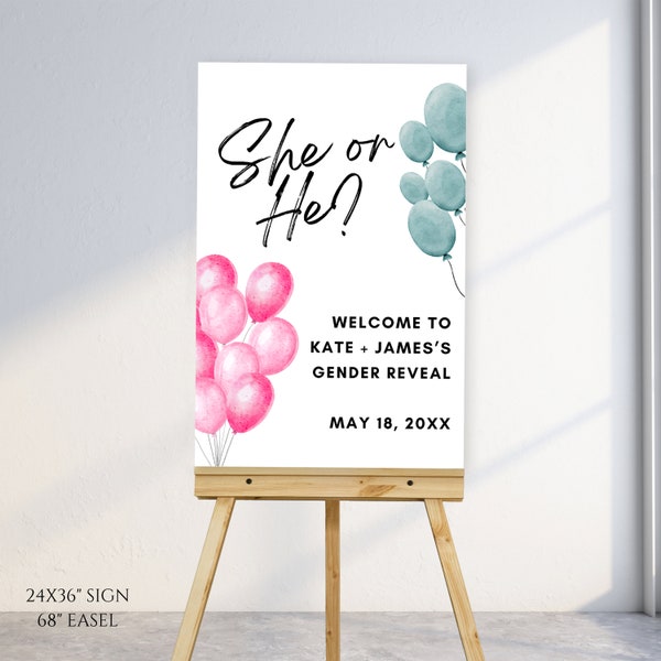 Gender Reveal Decor - Etsy