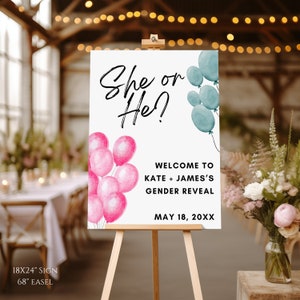 Gender Reveal Party Welcome Sign, She or He Entrance Sign, Blue Pink ...