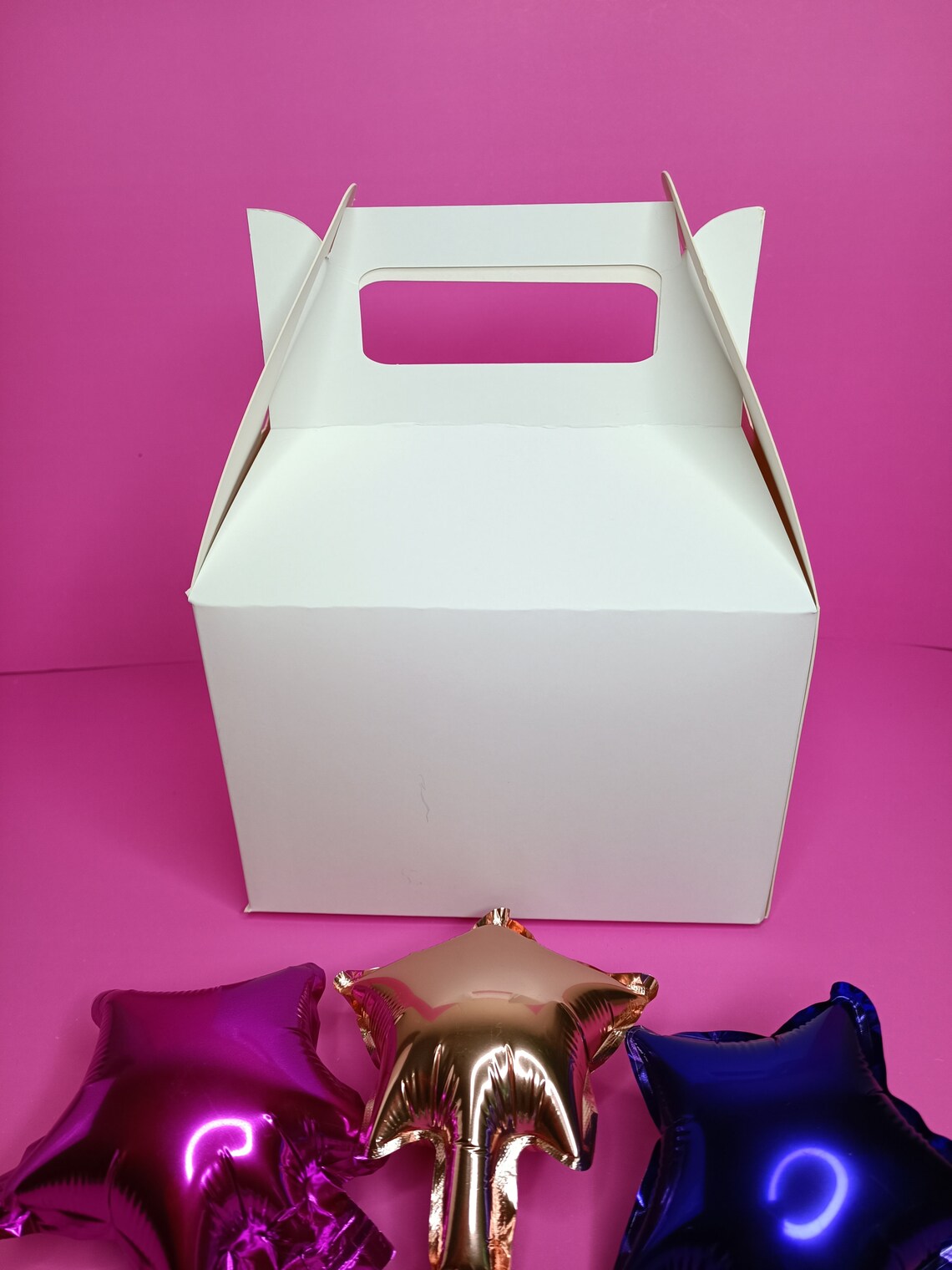 Lunch Box Template Editable in Canva - Etsy