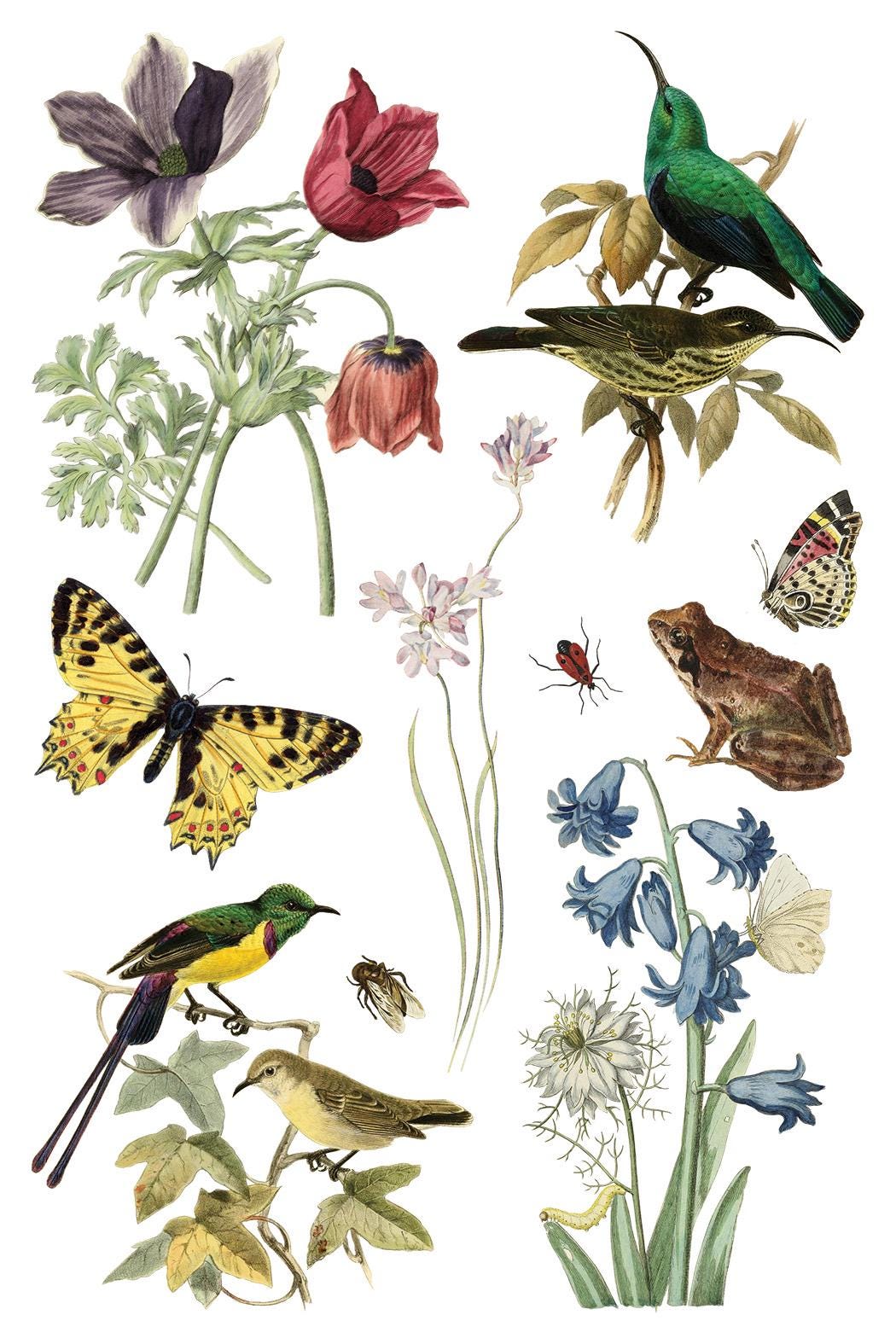 IOD Wilde Bloemen Decor Transfer Pad™ 8" X 12" Full Size Rub on FREE ...