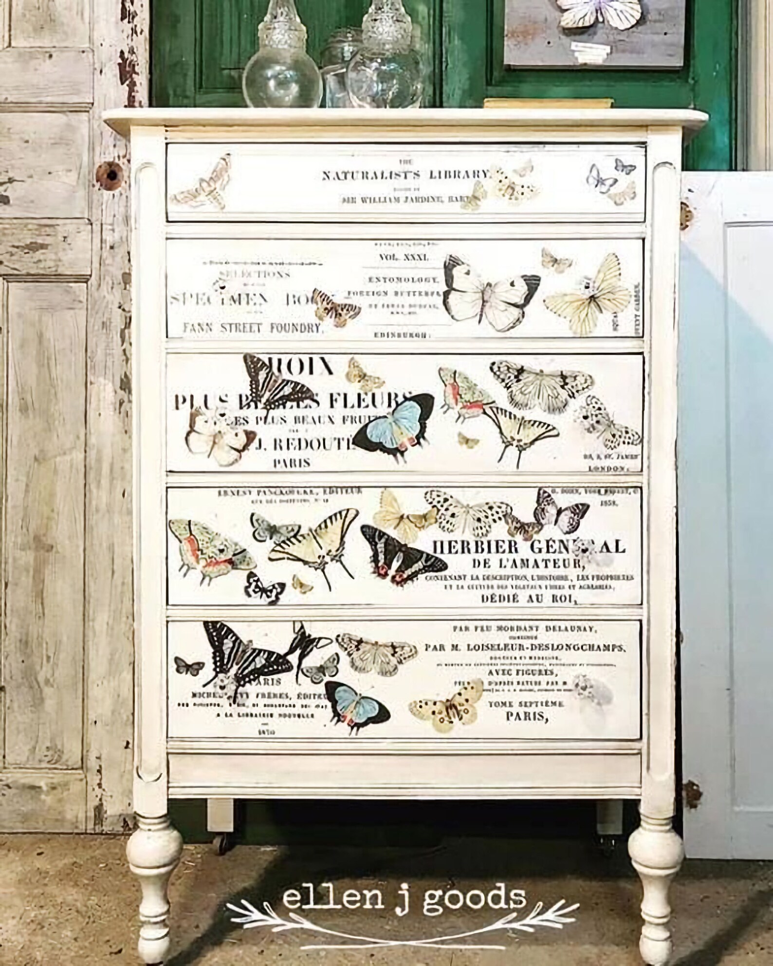 IOD Entomology Etcetera Decor Transfer Pad™ 12" X 16" Full Size Rub on ...