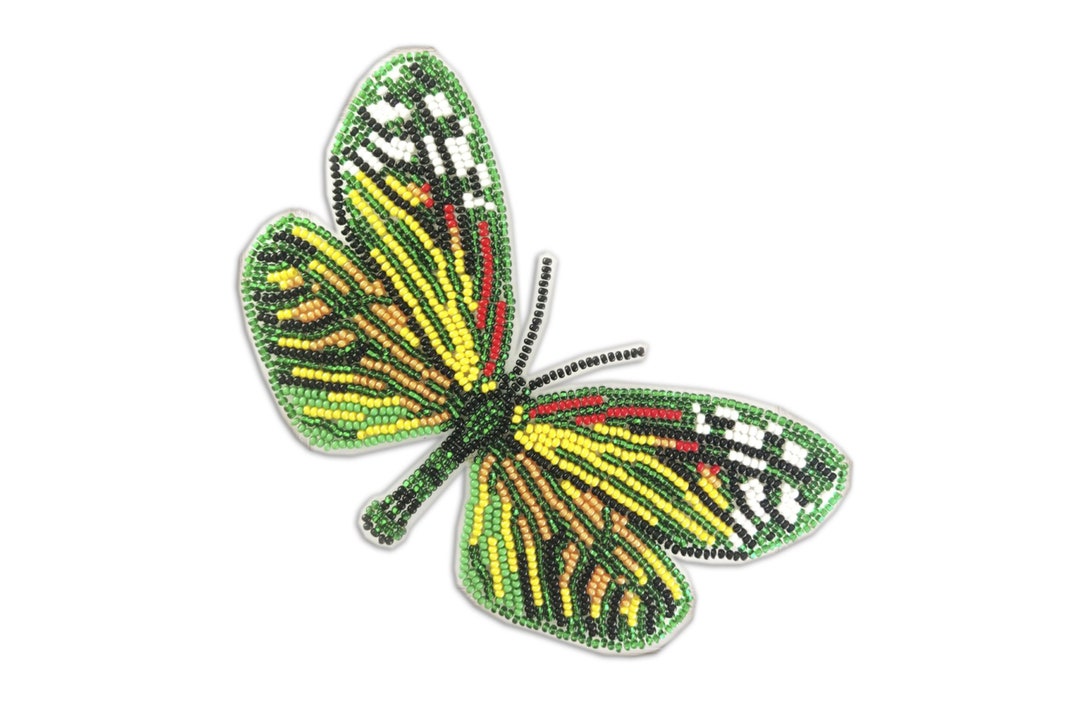 Day Flying Moth (campylotes Histrionicus) Butterfly Magnet Bead ...