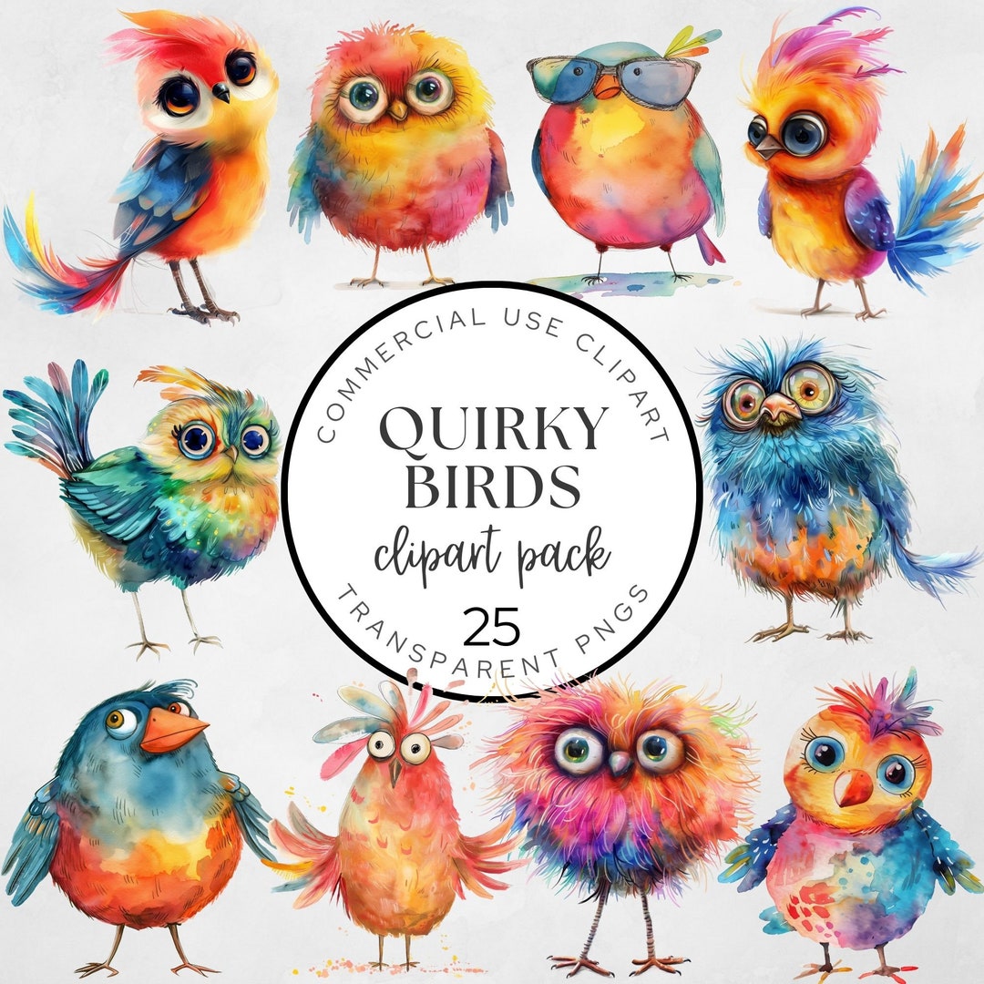 Quirky Birds Bright Watercolor Clipart, Colorful Funny Birds ...