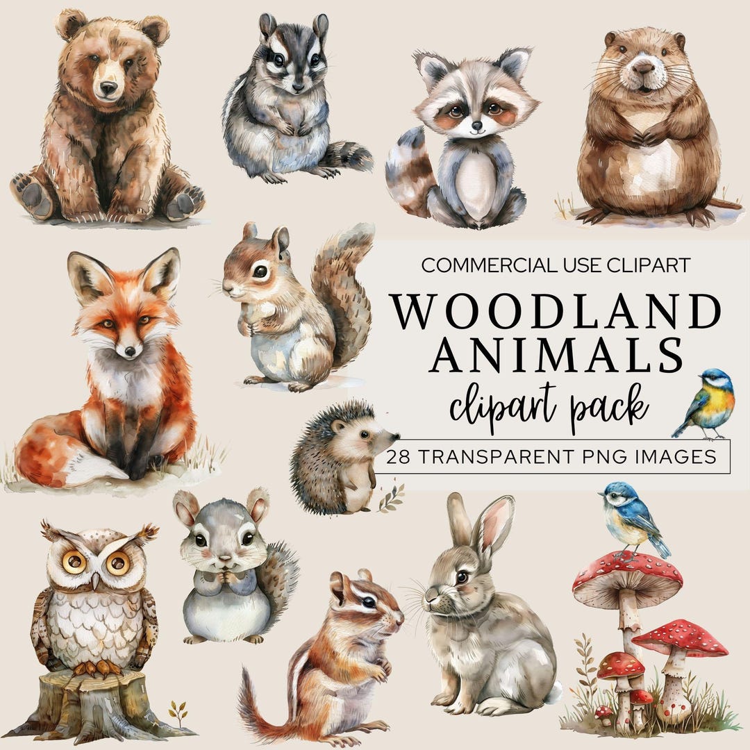 Woodland Clipart Watercolor, Woodland Animals PNG, Cute Nursery Wall ...
