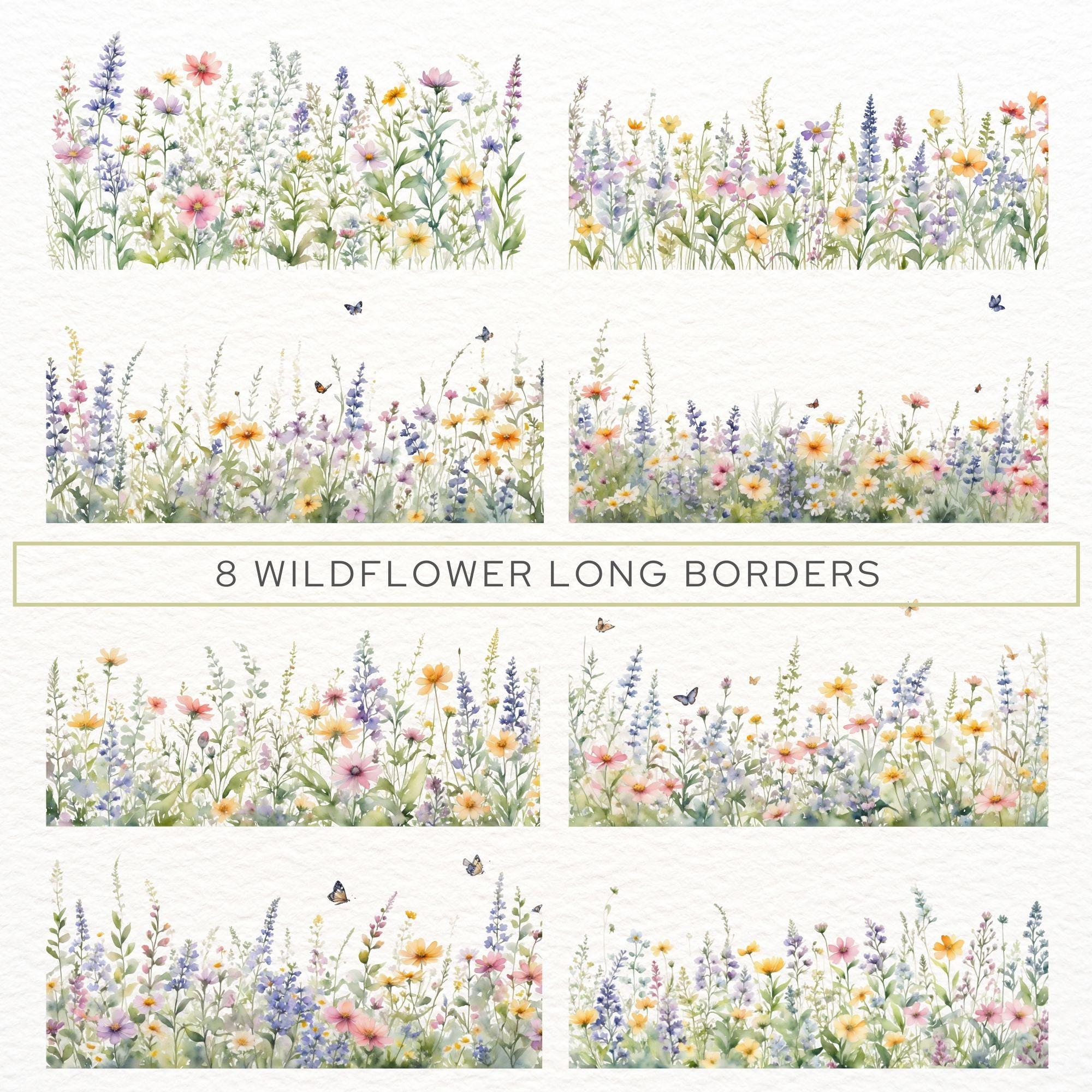 Wildflower Borders Clipart, Watercolor Floral PNG, Wild Flower Borders ...
