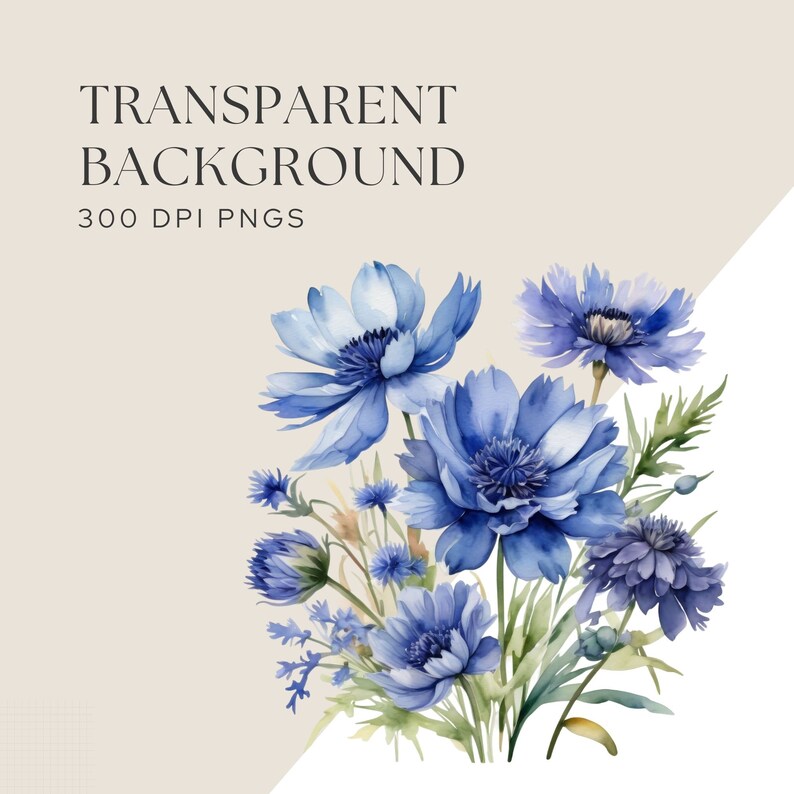 Indigo Blue Flower PNG, Watercolor Blue Flower Clipart Bundle ...