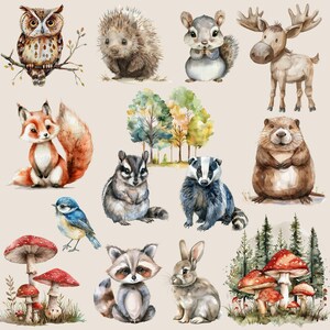 Woodland Clipart Watercolor, Woodland Animals PNG, Cute Nursery Wall ...