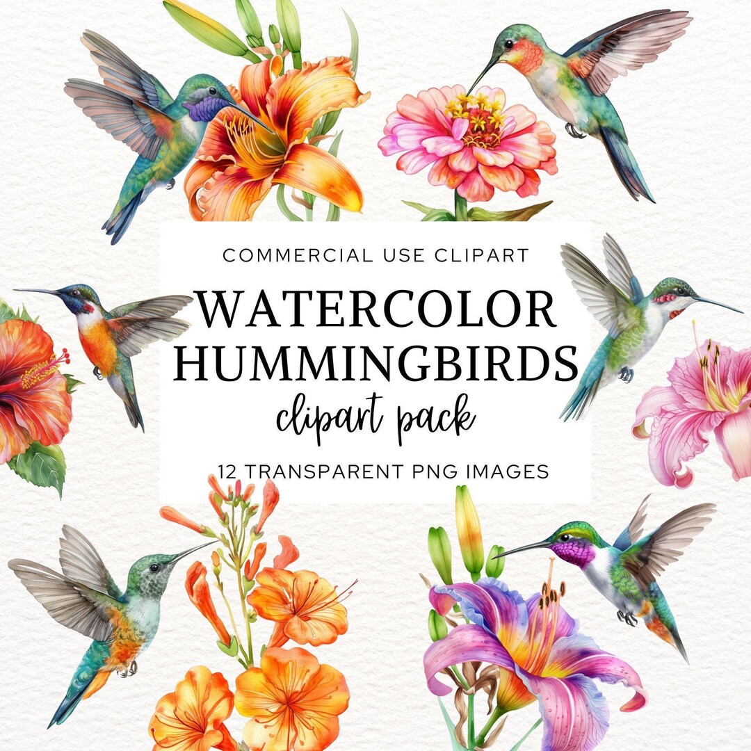 Hummingbird Clipart, Watercolor Bird Graphics, Digital Download Png ...