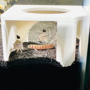 Aquarium Corner Cave Fish Tank Decoration, Axolotl Hide Underground ...