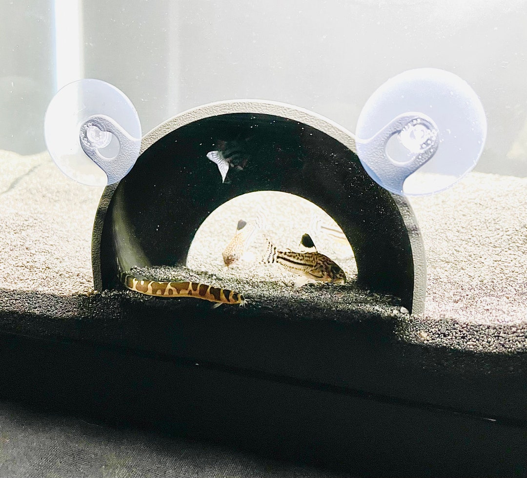 Aquarium Cave Half Dome Fish Tank Decoration, Axolotl Hide, Kuhli Loach ...