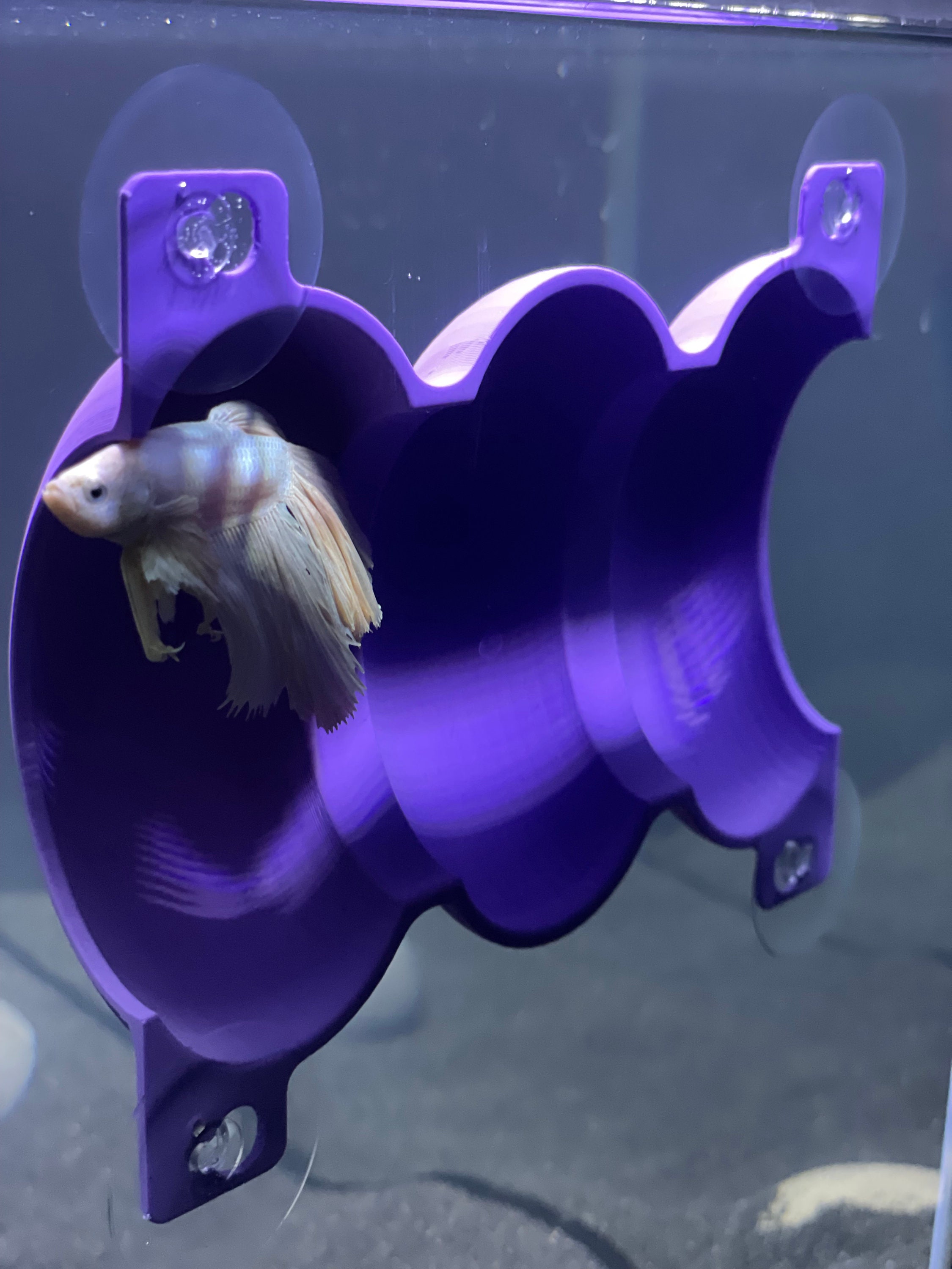 Betta Cave Decoration, Betta Fish Hide, Fish Tank Decoration for Betta ...