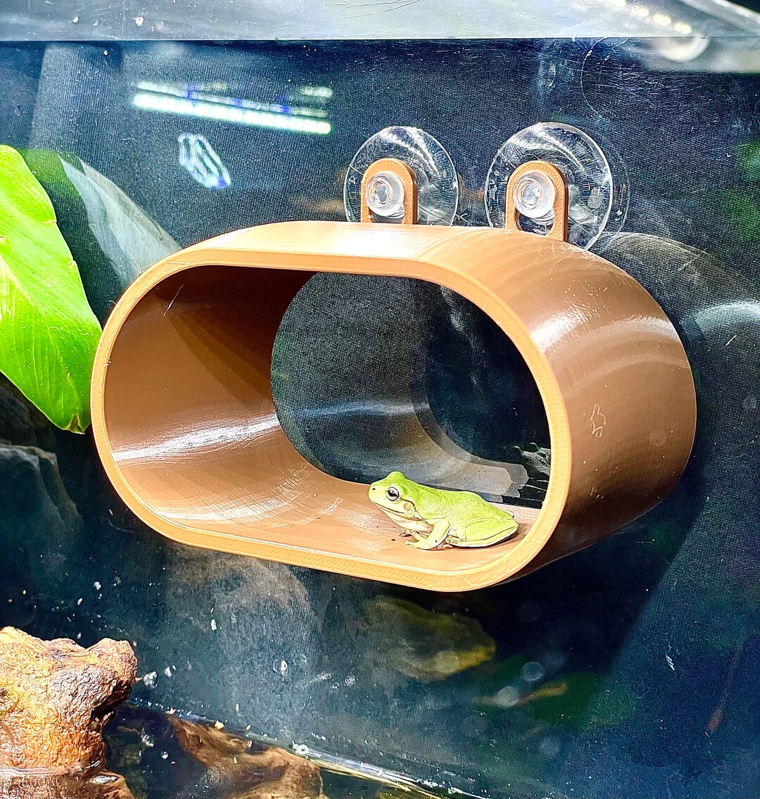 Gecko Frog Hide Hammock Wall Decor Amphibian Reptile Tank Enrichment ...