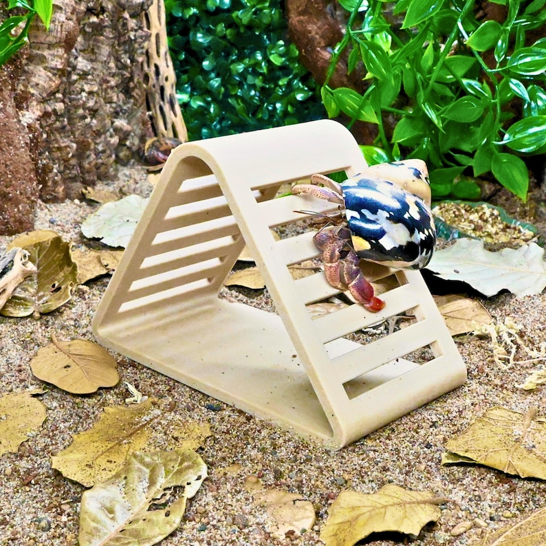 Hermit Crab Climbing Triangle Toy – Ramp Climber - Etsy