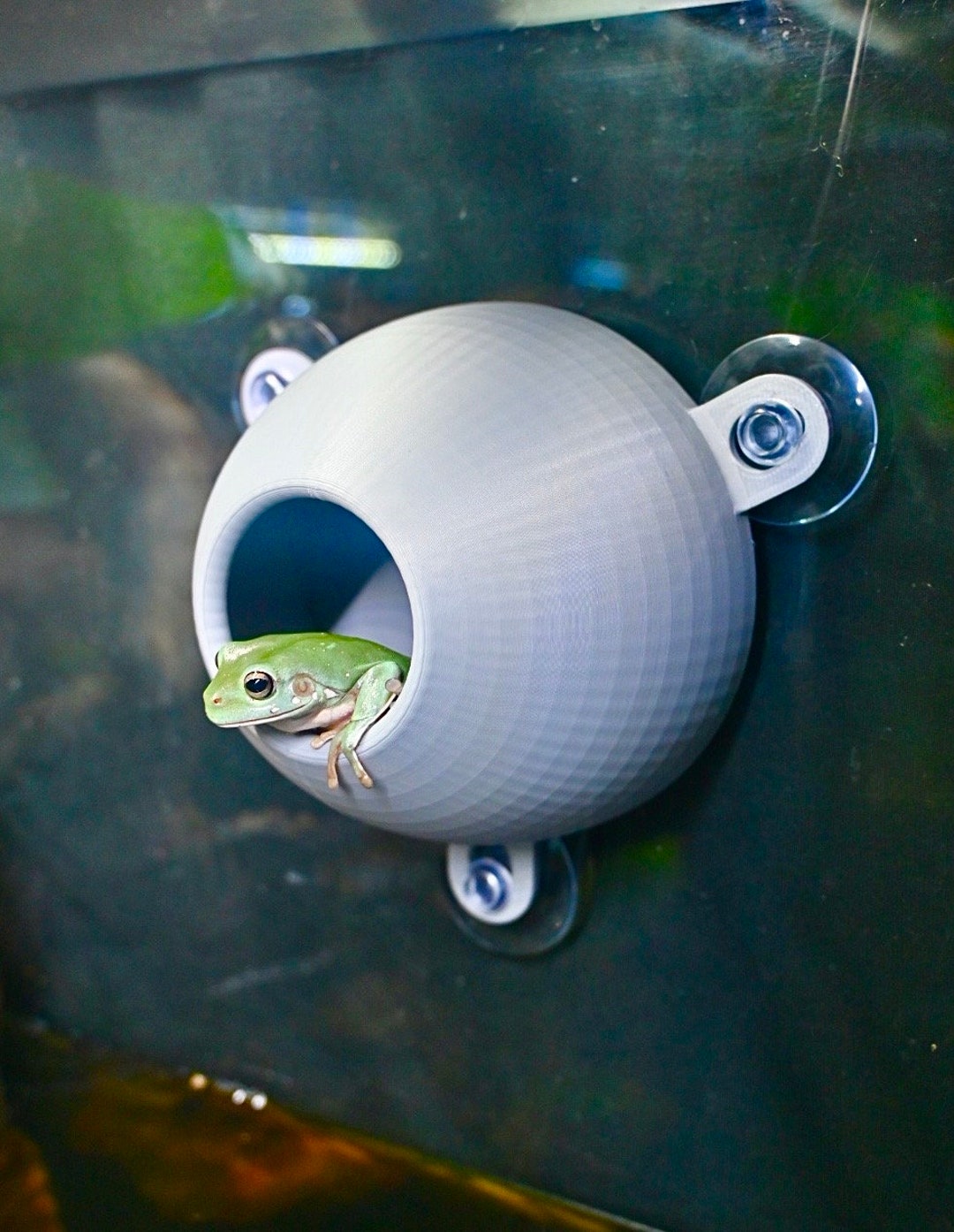 Gecko Frog Wall Dome Cave Hide Amphibian Reptile Tank Enrichment Decor ...