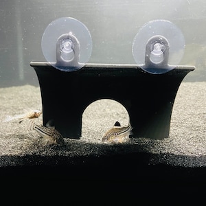 Aquarium Cave Half Tube Fish Tank Decoration, Axolotl Hide, Kuhli Loach ...