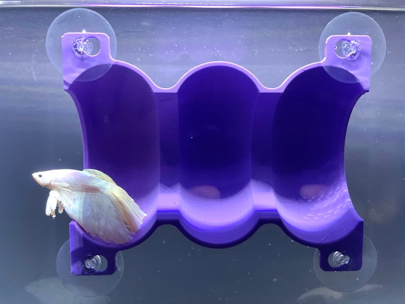 Betta Cave Decoration, Betta Fish Hide, Fish Tank Decoration for Betta ...