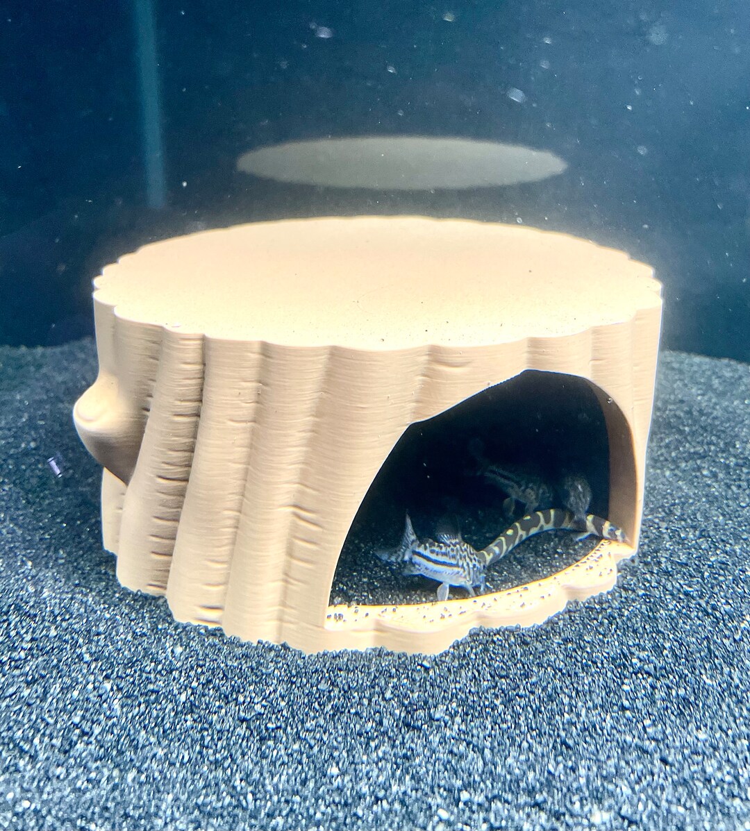 Aquarium Cave Tree Stump, Cichlid Cave, Kuhli Loach Dojo Loach ...
