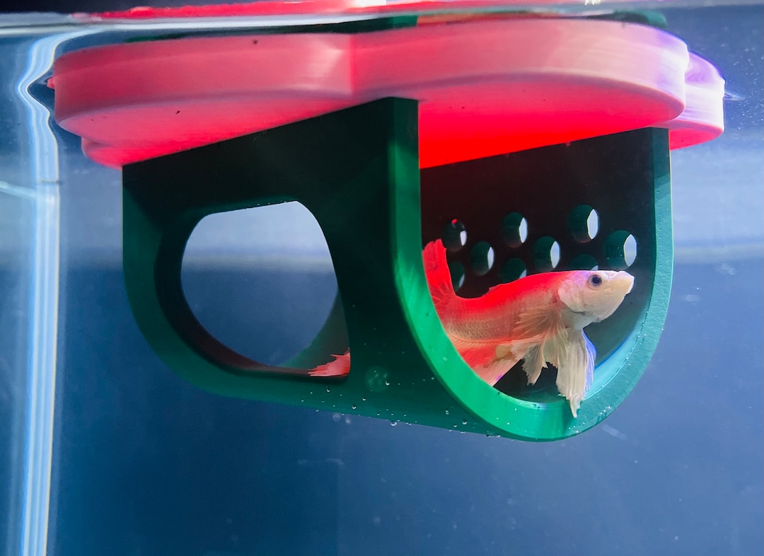 Betta Floating Flower Hammock Tunnel, Toy Cave for Betta Fish, Aquarium ...