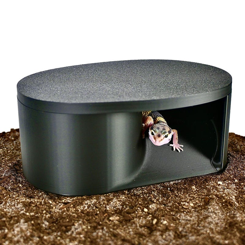 Humid Hide Reptiles - Etsy