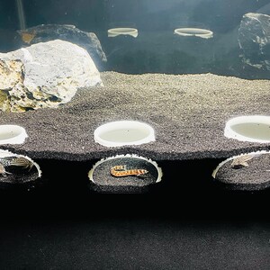 Bottom Dweller Aquarium Cave, Kuhli Loach Dojo Loach Corydoras Catfish ...