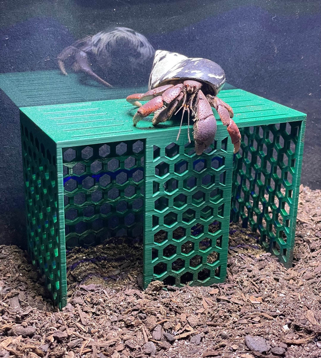 Hermit Crab Climbing Stand, Hermit Crab Hide, Hermit Crab Ornament ...