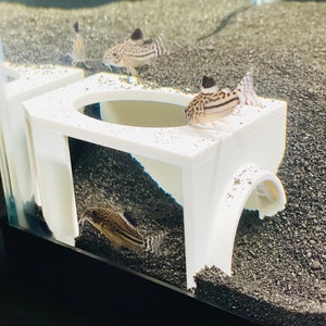 Aquarium Corner Cave Fish Tank Decoration, Axolotl Hide Underground ...