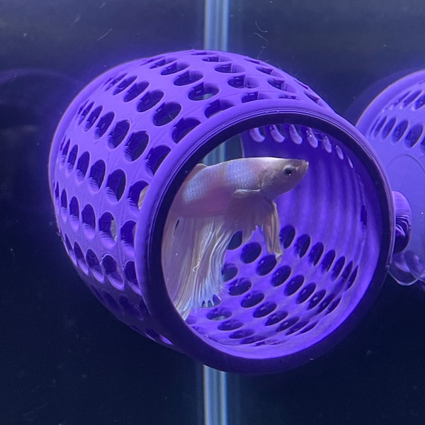 Fish Tank Decor Tunnels - Etsy