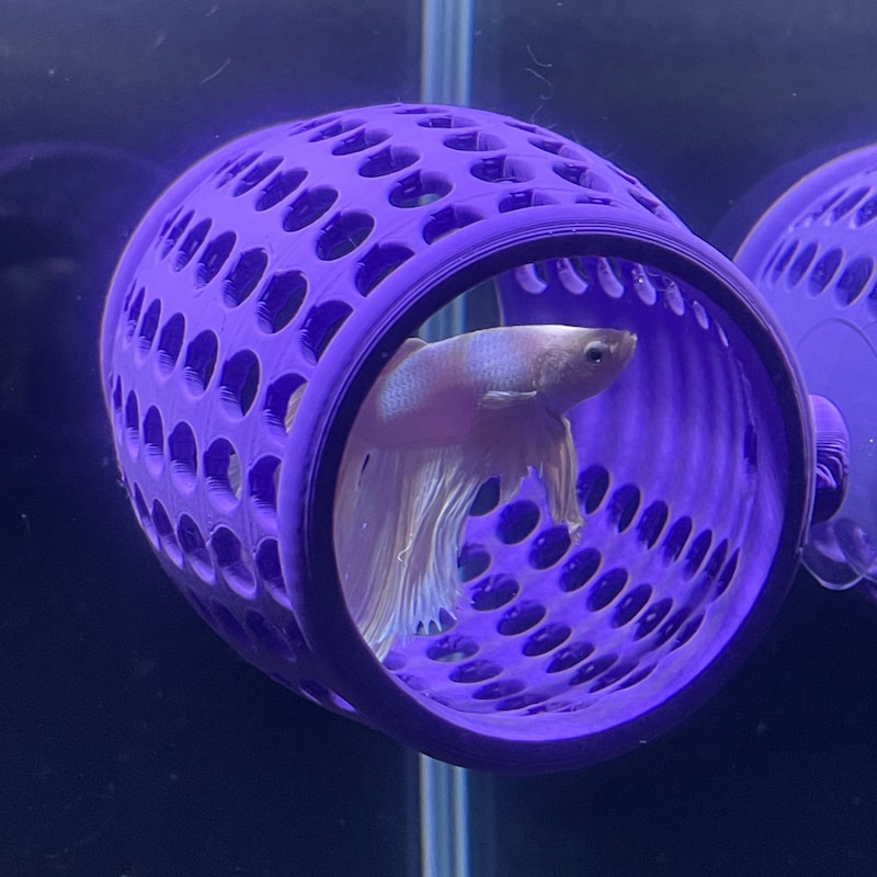 Betta Fish Tank Hides - Etsy