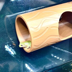 Gecko Frog Log Hide Wall Decor Amphibian Reptile Tank Enrichment ...