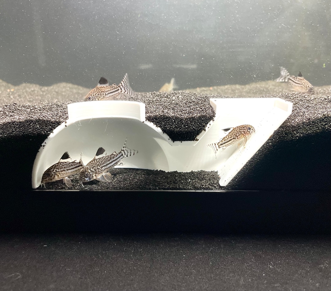 Aquarium Underground Tunnel Dome, Kuhli Loach Dojo Loach Corydoras ...