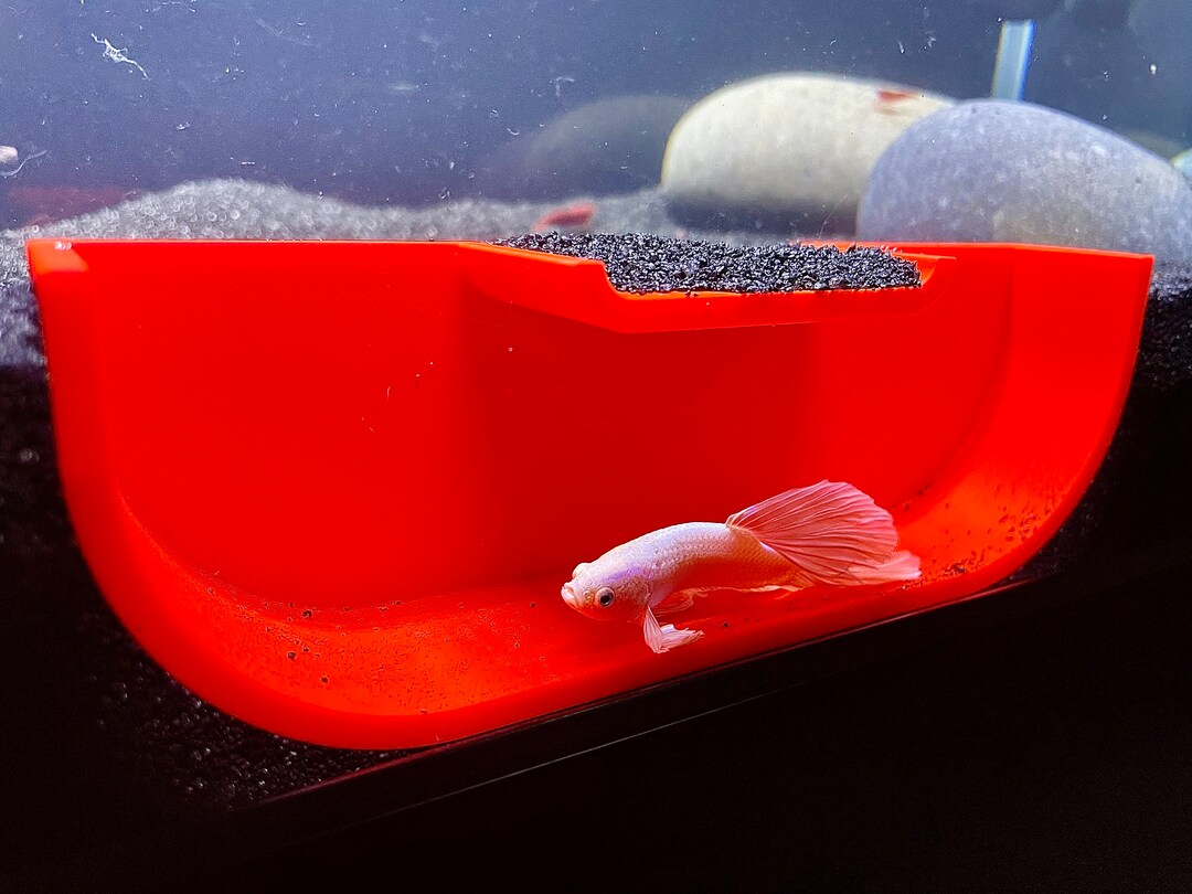 Betta Undergravel Tunnel, Toy Cave for Betta Fish, Aquarium Decoration ...