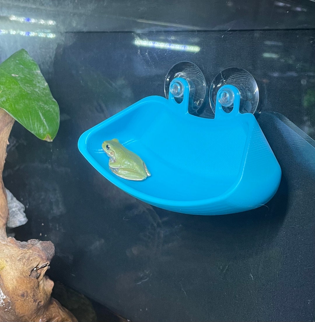 Gecko Frog Hammock Wall Decor Amphibian Reptile Tank Enrichment ...