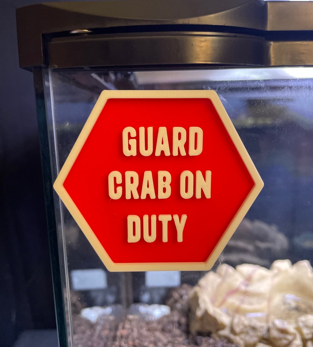 Hermit Crab Decoration Sign, Guard Crab on Duty Sign, Hermit Crab ...