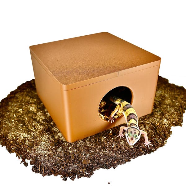 Reptile Enclosure - Etsy