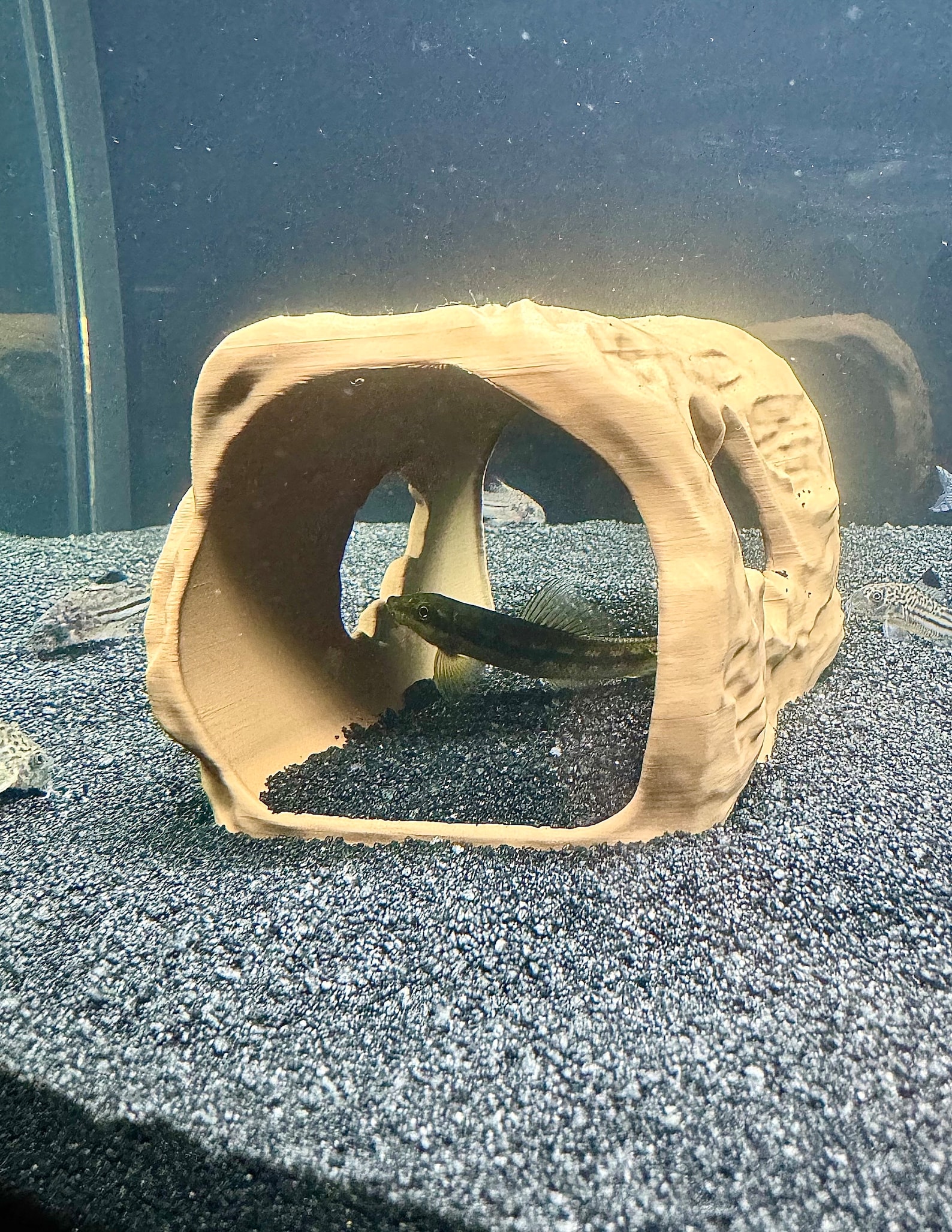 Aquarium Cave Tree Log Fish Tank Aquarium Decor Hide Cichlid Cave Kuhli ...