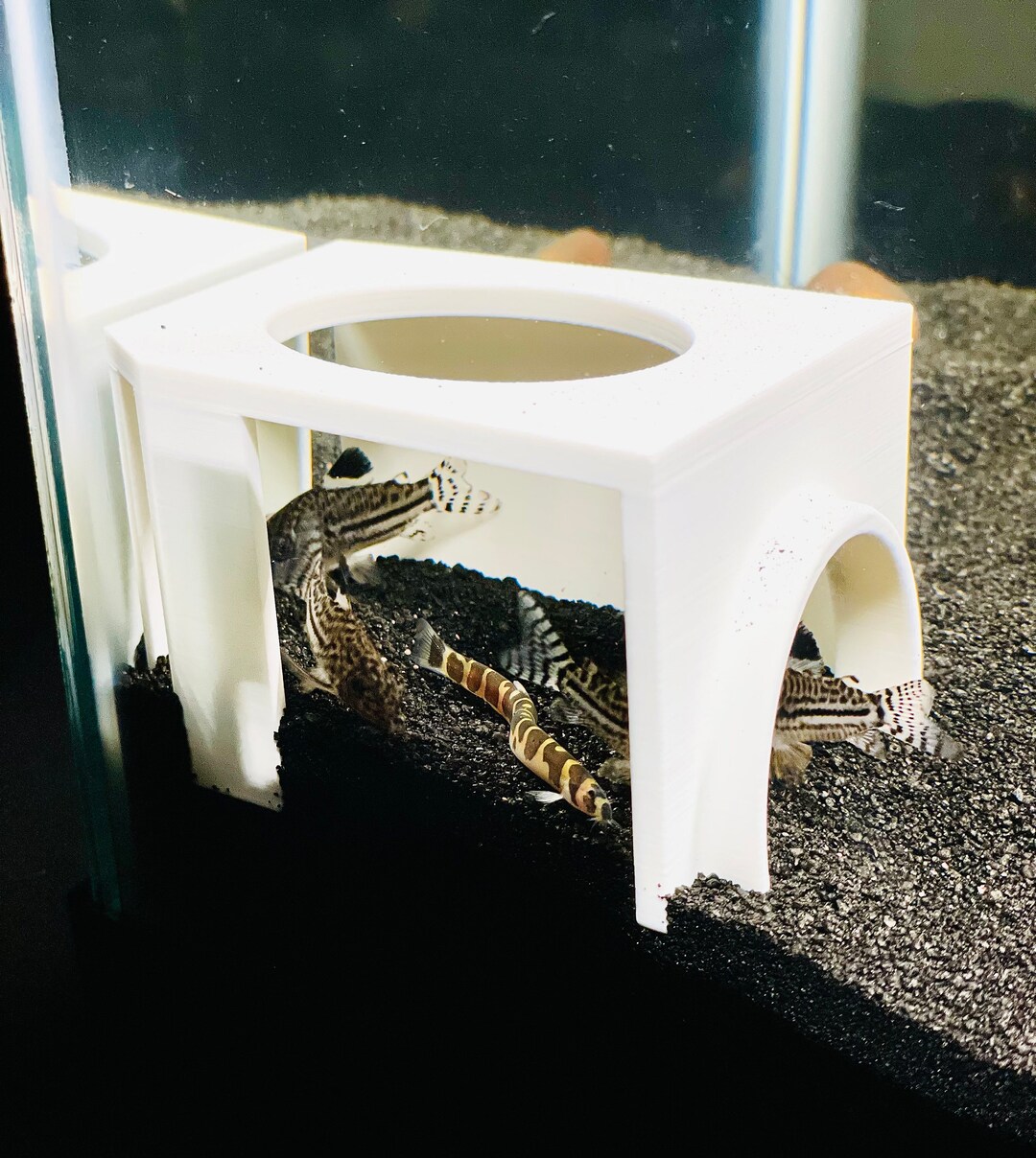 Aquarium Corner Cave Fish Tank Decoration, Axolotl Hide Underground ...