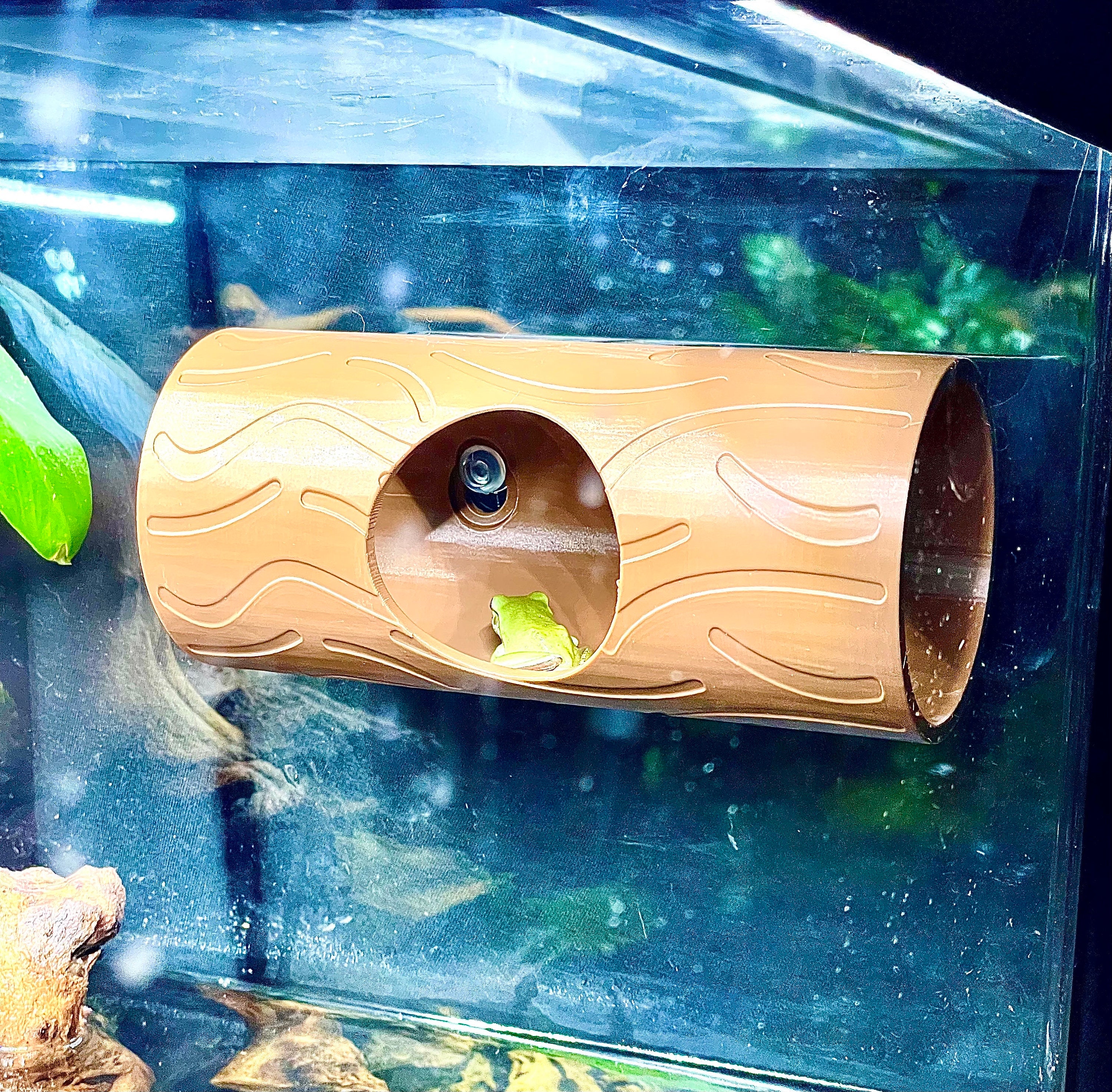 Gecko Frog Log Hide Wall Decor Amphibian Reptile Tank Enrichment ...
