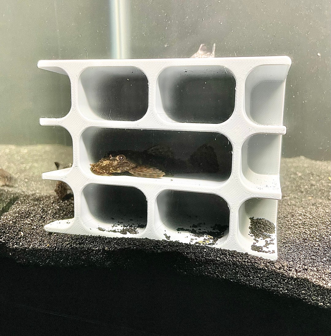 Pleco Cave Hotel Decoration Pleco Hide Aquarium Caves Plecostomus ...