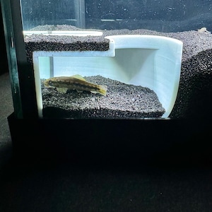 Aquarium Decor Corner Double Hole Cave Underground Viewing Hide Kuhli ...